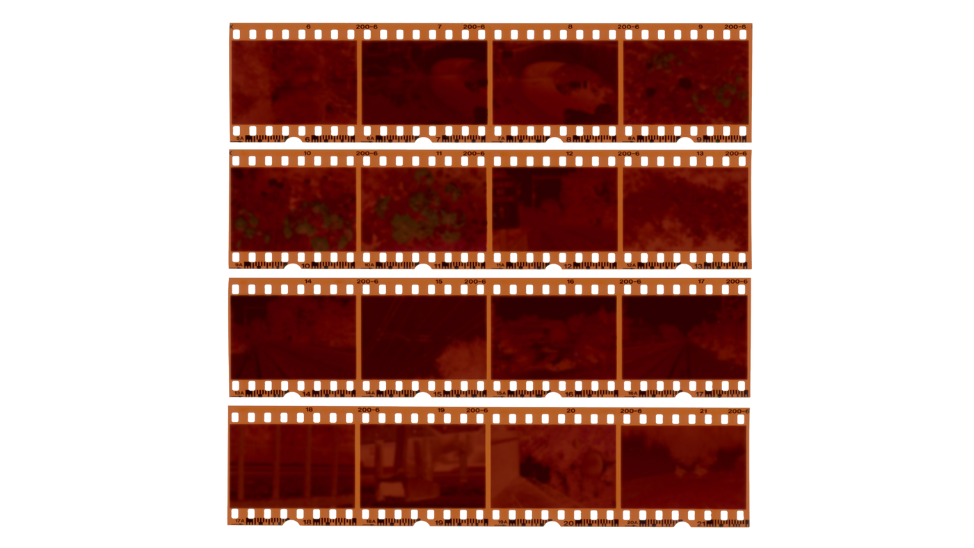 Counting Your Negatives